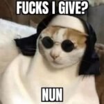 20 Adorable Cat Pfp Guaranteed to Make You Smile